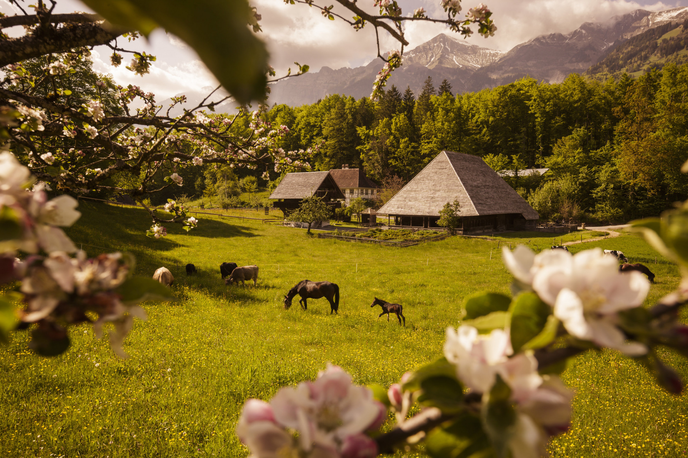 Freilichtmuseum Ballenberg - Ein Ort der Begegnung / Berner Oberland Pass
